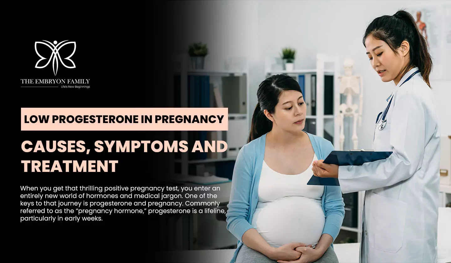Low Progesterone in Pregnancy: Signs, Tests & Care